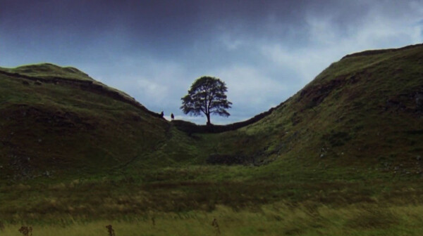 Robin Hood: Prince of Thieves at Sycamore Gap Tree on Hadrian's Wall ...
