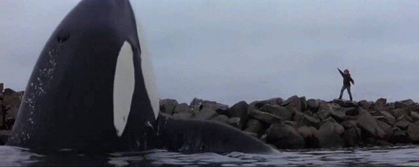 Free Willy - filming locations