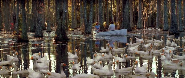 The Notebook - filming locations