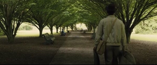 Empire of Light at Cobtree Manor Park - Hornbeam Avenue - filming location